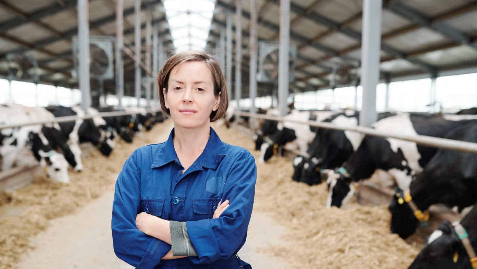 Farm Clothing Ireland: A full Guide For Irish Dairy Farmers