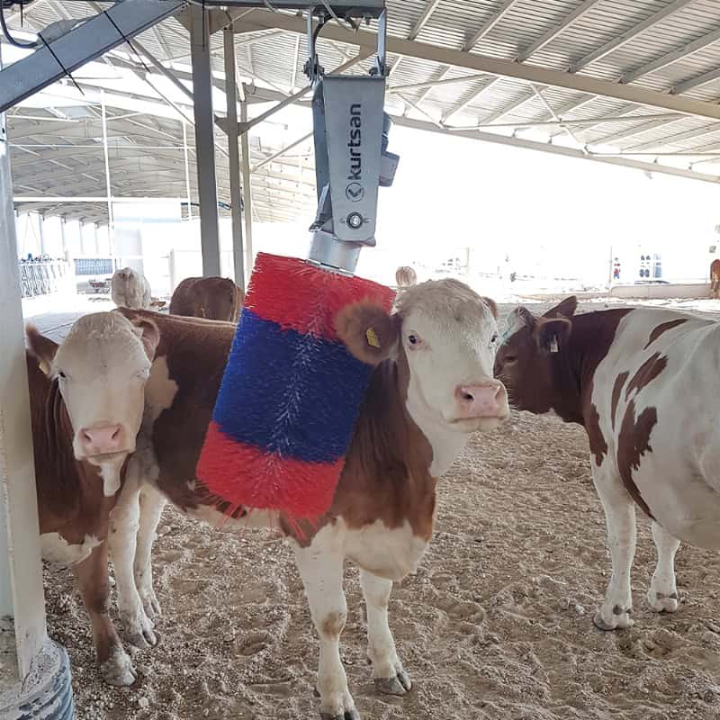 Kurtsan Automatic Cow brush - Farm & Dairy Spares
